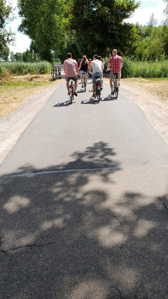 dWise-WeAreElectric-03 – dWise Computers